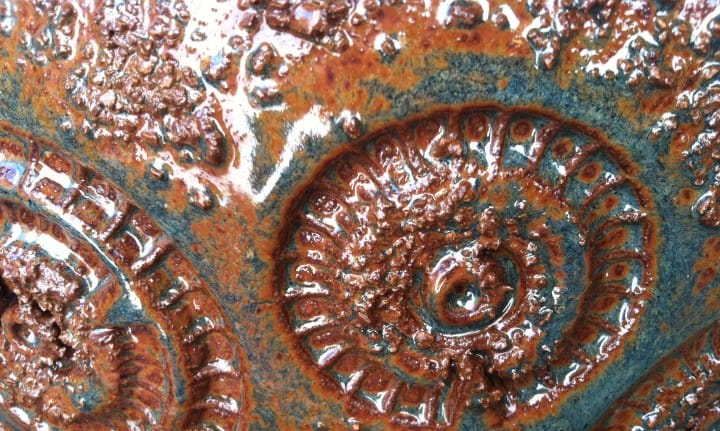 Woo Fossil Collection - Susan Aach Ceramics