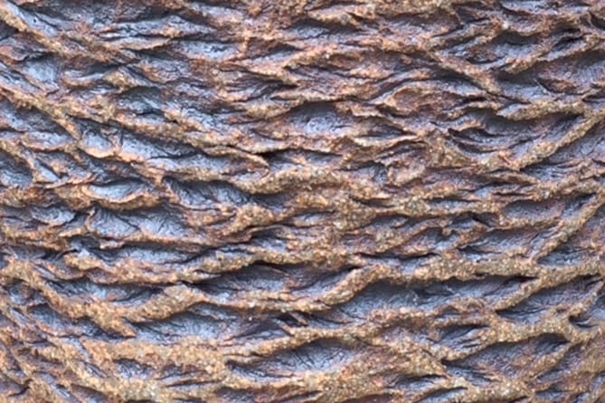 Textures | Susan Aach Ceramics