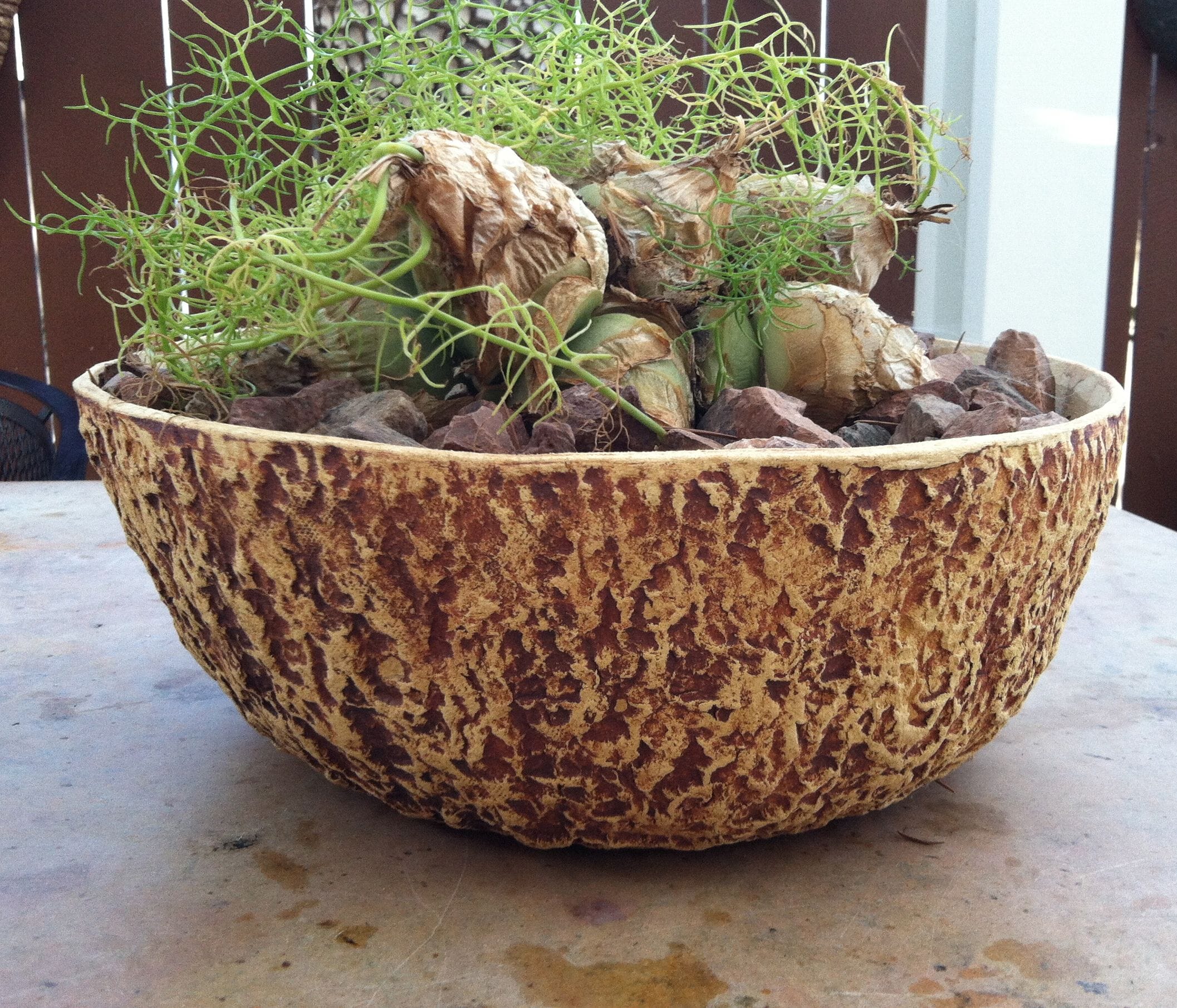 9" Stained Bark Vertical Planter - Susan Aach Ceramics